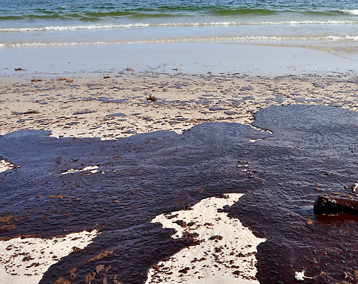 Prepare for the Next Big Oil Spill - Expert Advice