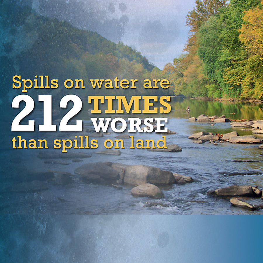 Expert Advice - Reg and Safety Help to Protect Your Environments